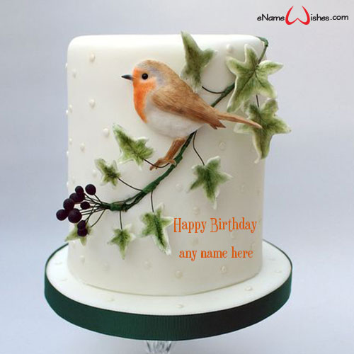Cute Robin Birthday Cake with Name Edit - Name Birthday Cakes - Write ...